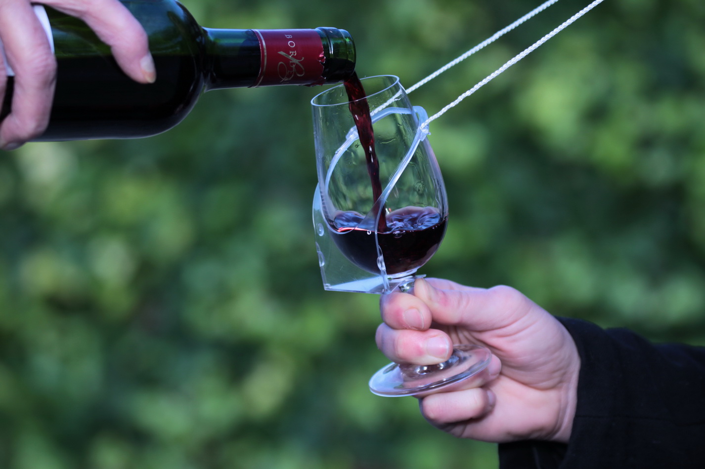 Festi'verres - Porte Verre